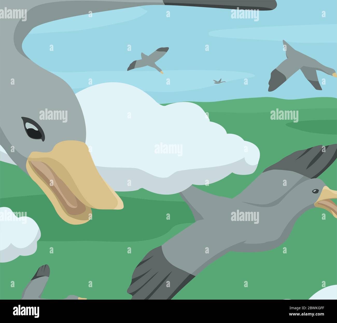 Wild geese migrating cartoon birds in flight close up, color vector ...