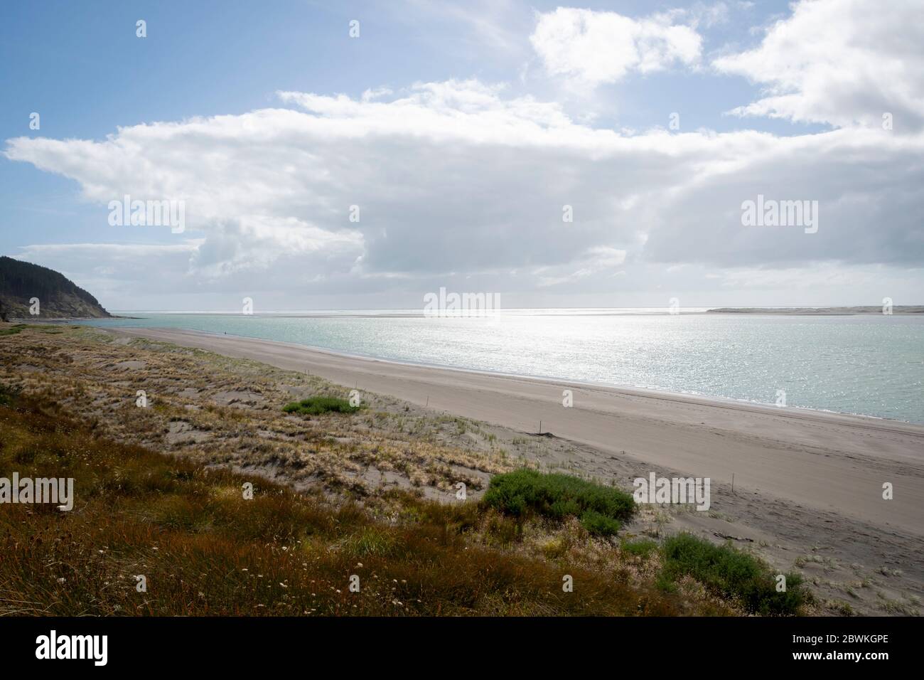 Aotea hi-res stock photography and images - Alamy
