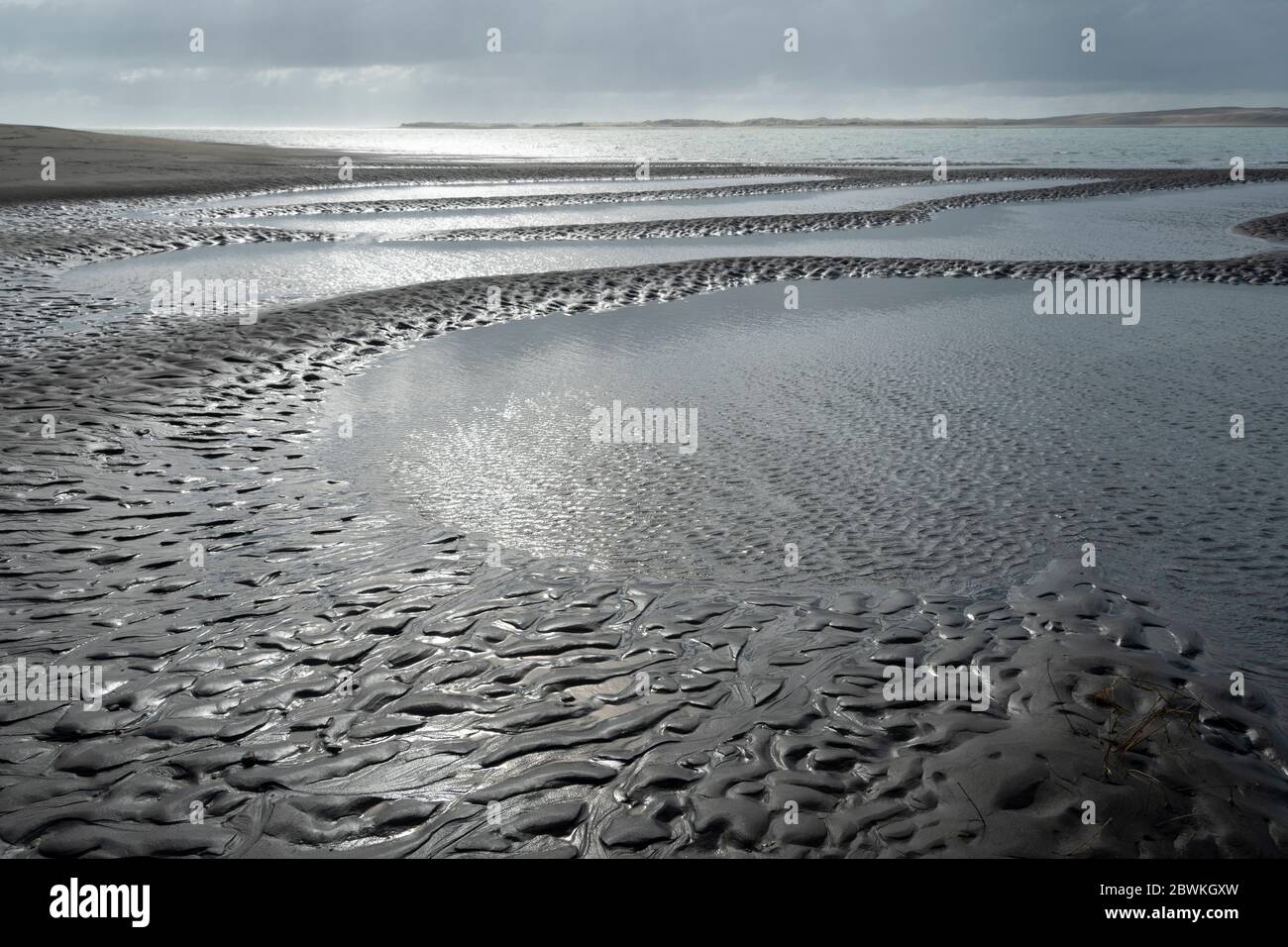 Patterns in sand and mud at Aotea Harbour mouth, near Kawhia, North ...