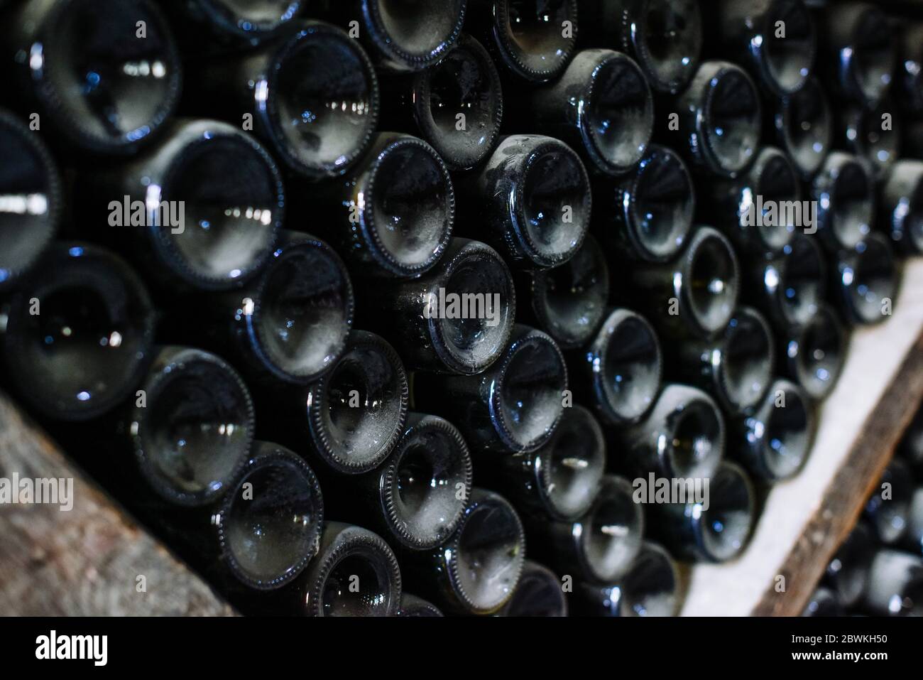 Old, ancient wine collection and dusty wine bottles in an underground ...
