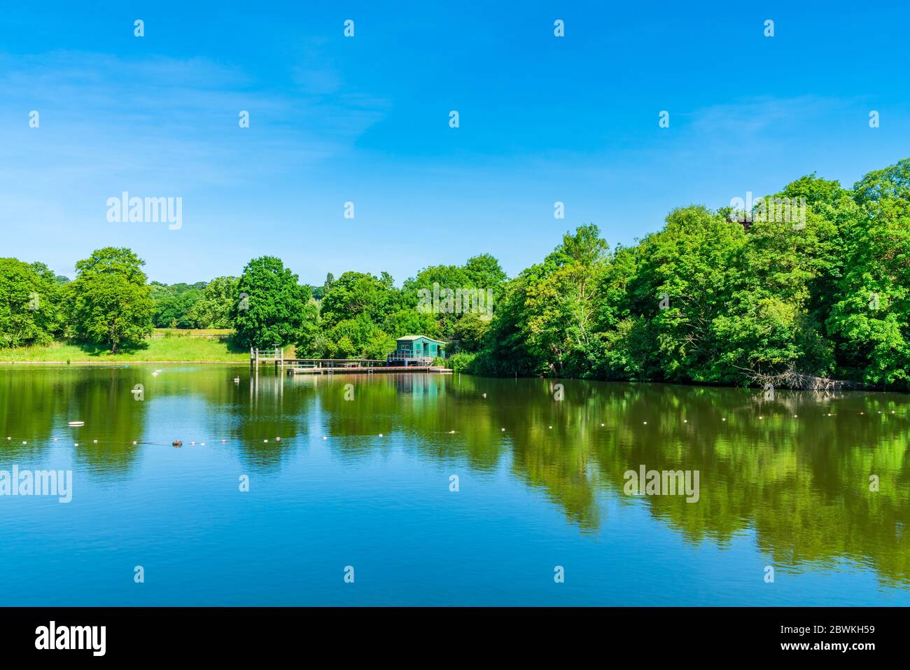 A bathing pond in Hampstead Heath park in north-west London. UK Stock ...