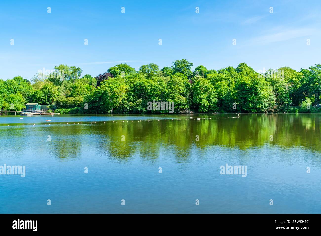 A bathing pond in Hampstead Heath park in north-west London. UK Stock ...