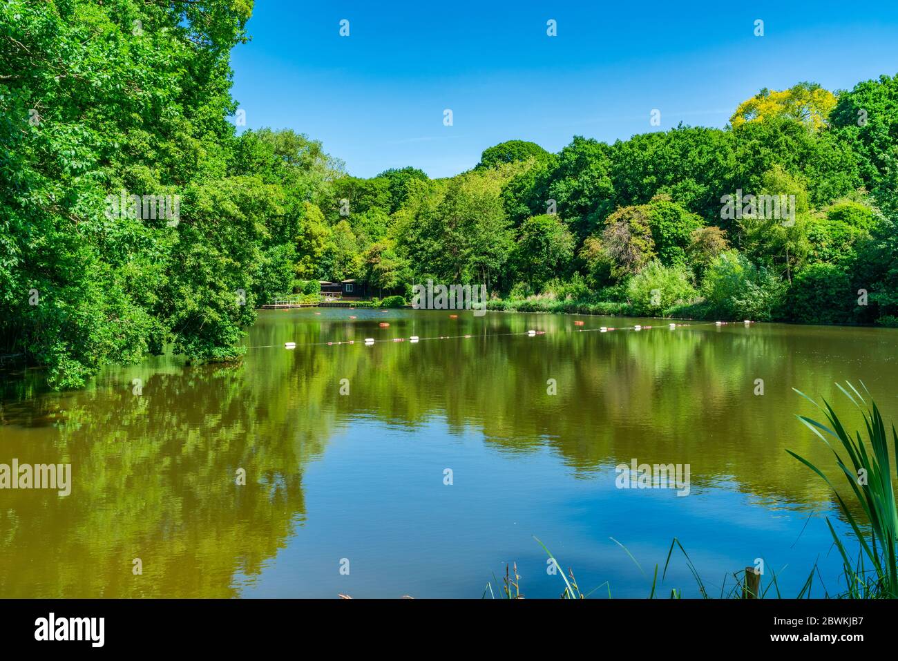 A bathing pond in Hampstead Heath park in north-west London. UK Stock ...