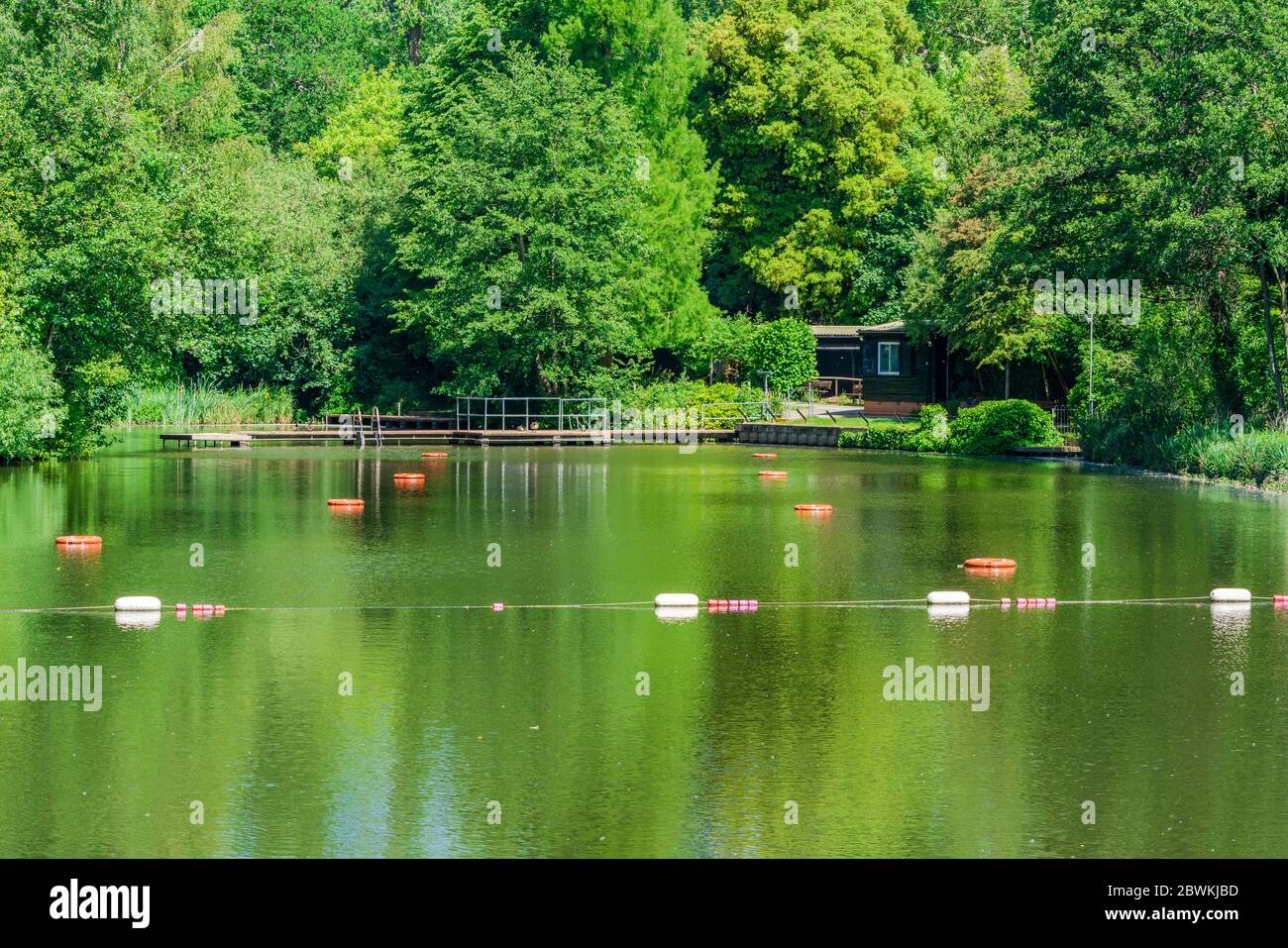 Hampstead heath swimming hi-res stock photography and images - Alamy