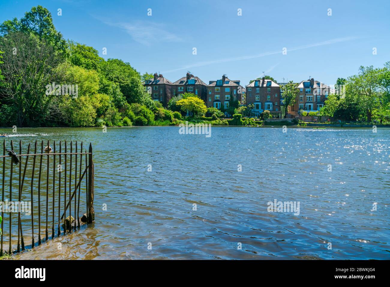 Summer landscape around a small lake in the suburbs of London, UK Stock ...