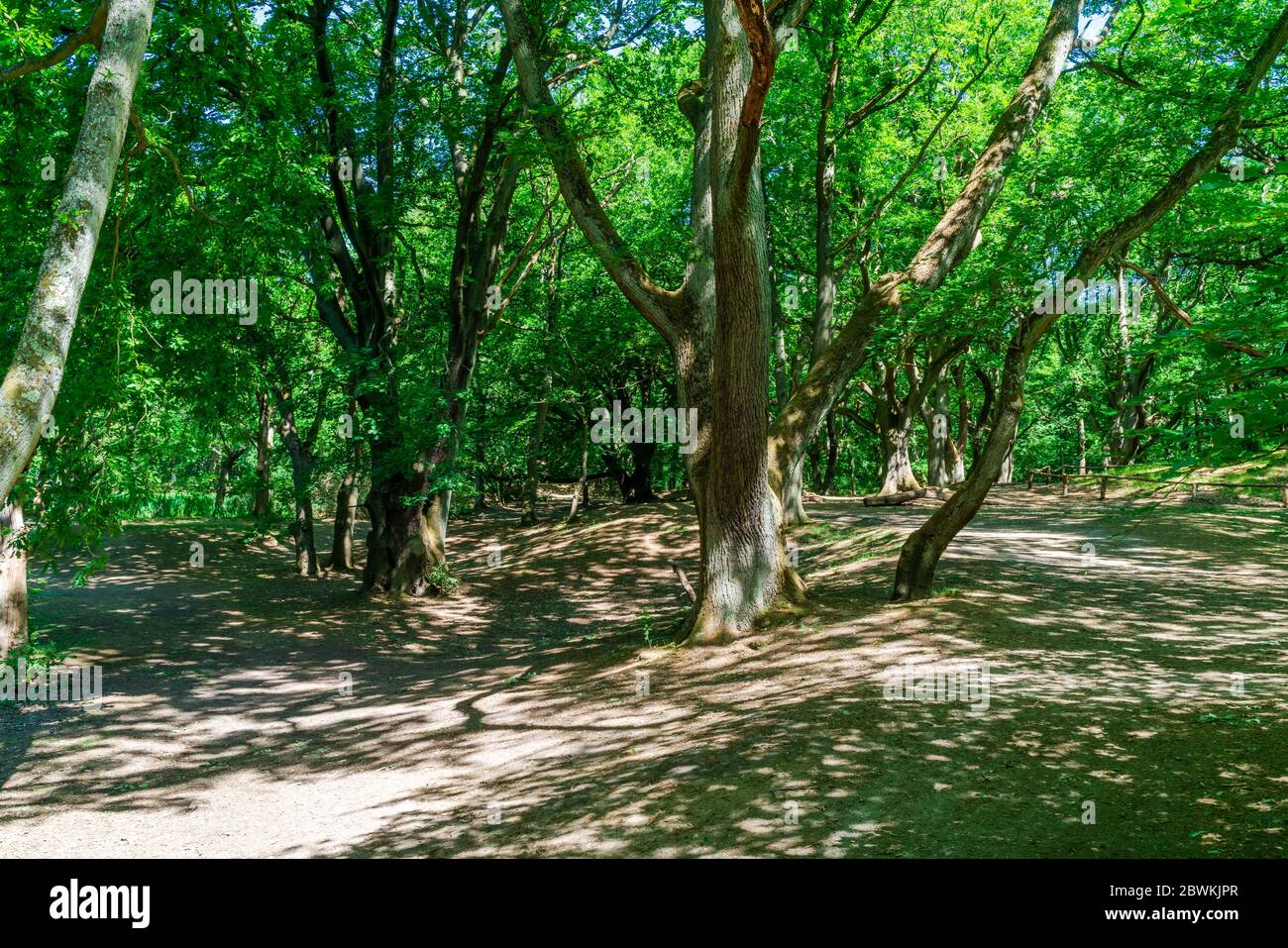 Spring grove london hi-res stock photography and images - Alamy