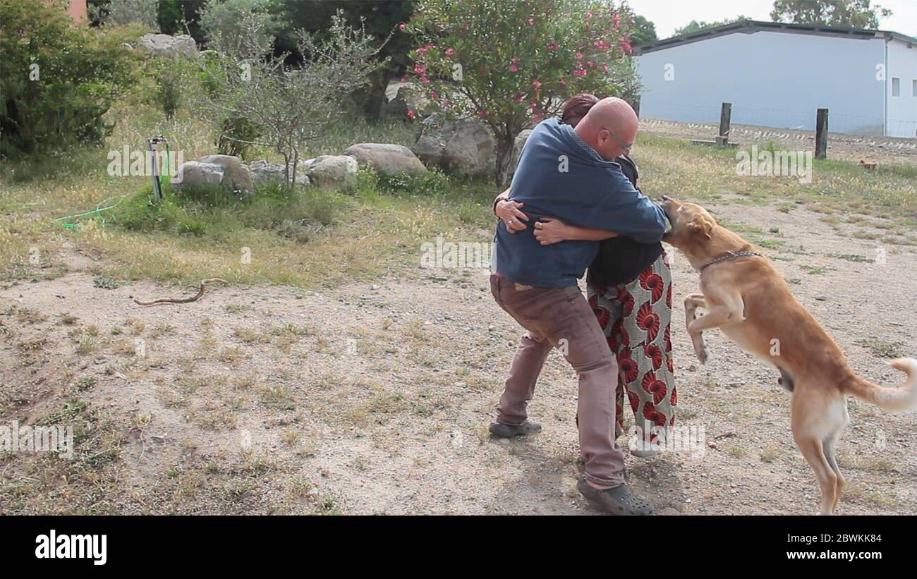 Female dog abuse hi-res stock photography and images - Alamy