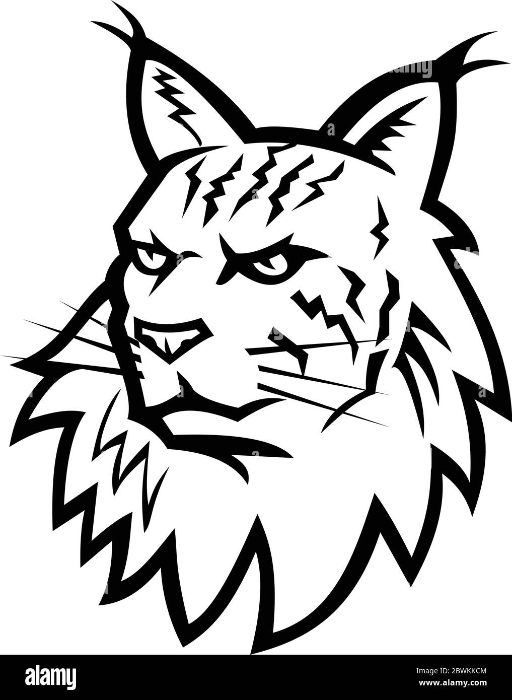 Black and White Sports mascot illustration of head of an angry Maine ...