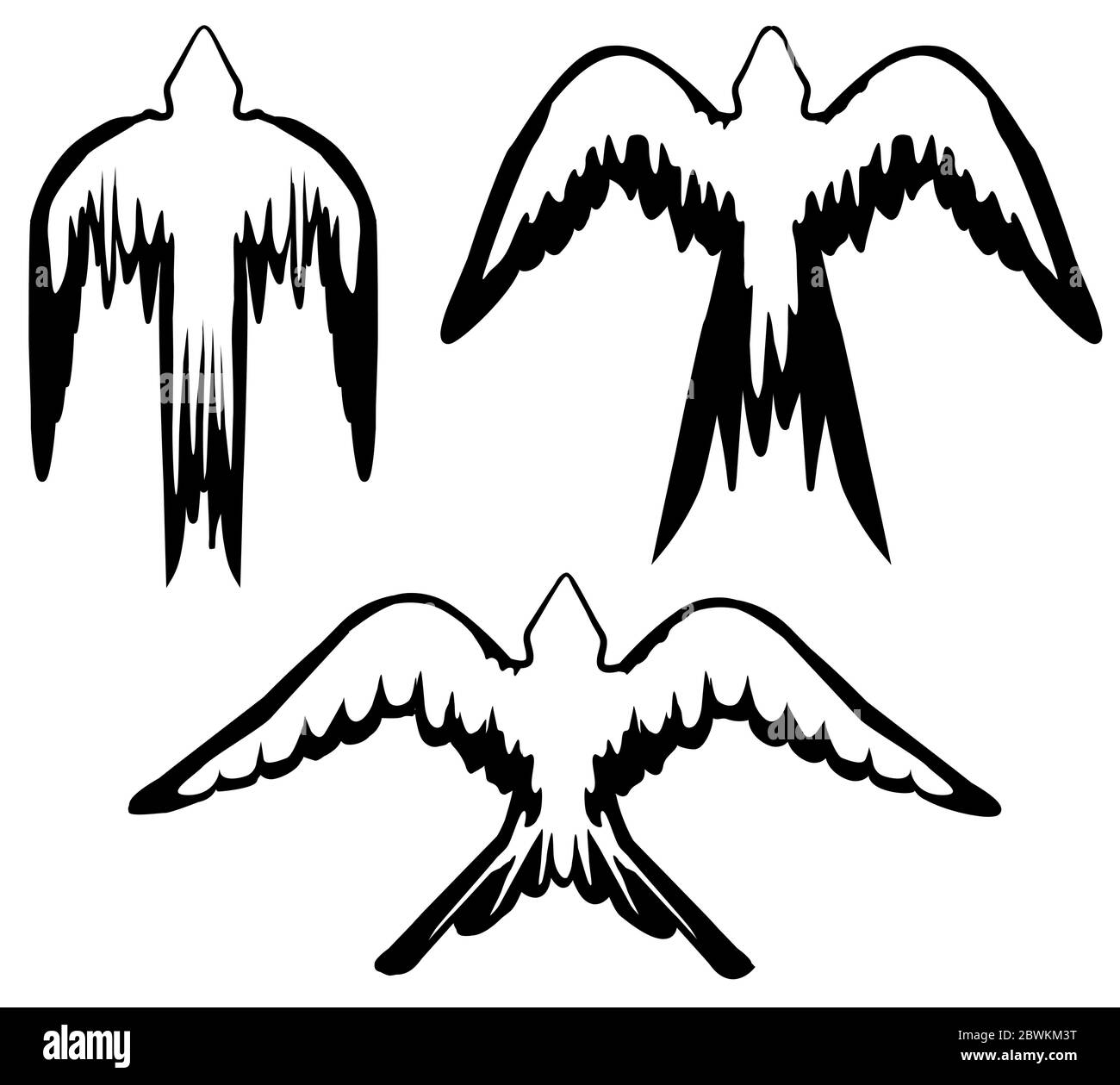 Quick bird cartoon design element set, isolated vector, horizontal ...