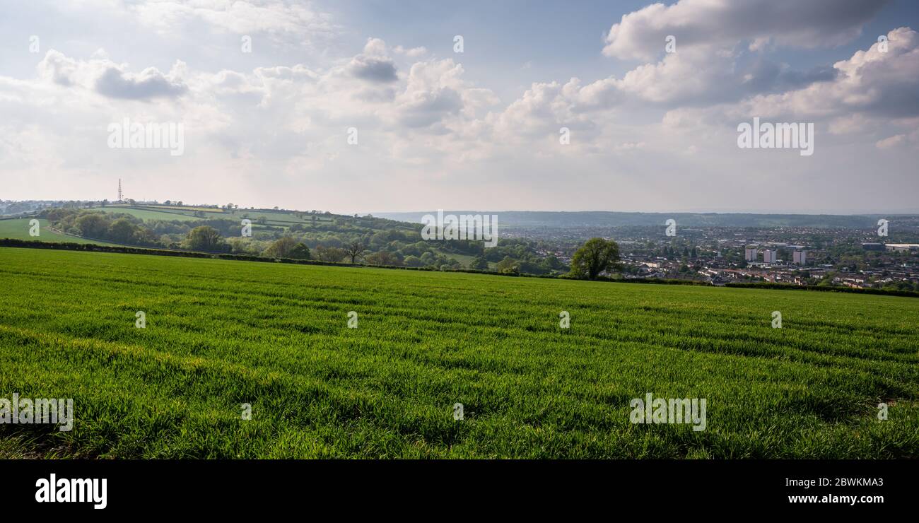 Farmland fields and woodland cover the slopes of Dundry Hill in North ...