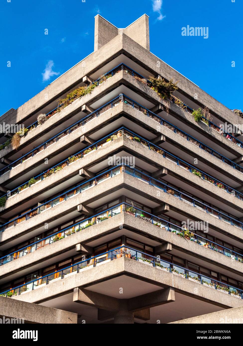 Balcony plants uk hi-res stock photography and images - Alamy