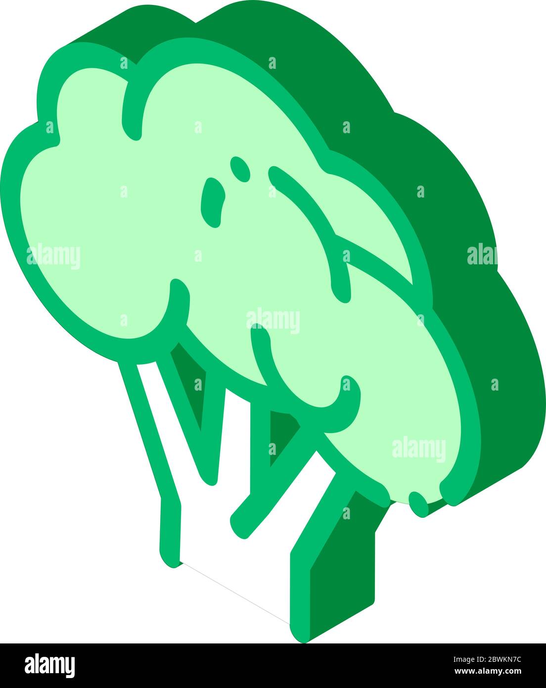 Healthy Food Vegetable Rapini isometric icon vector illustration Stock ...