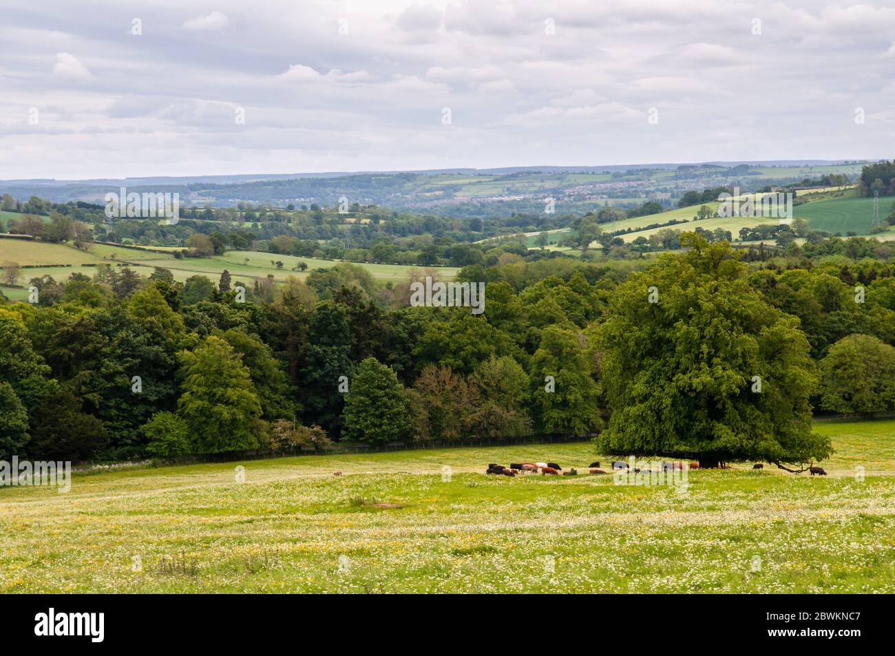 Tyne valley hi-res stock photography and images - Alamy