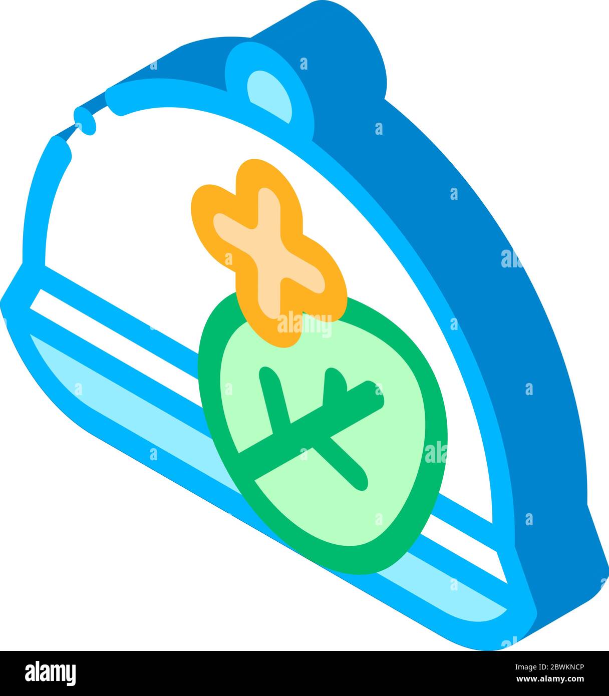 Restaurant Equipment Salver Dish isometric icon vector illustration ...