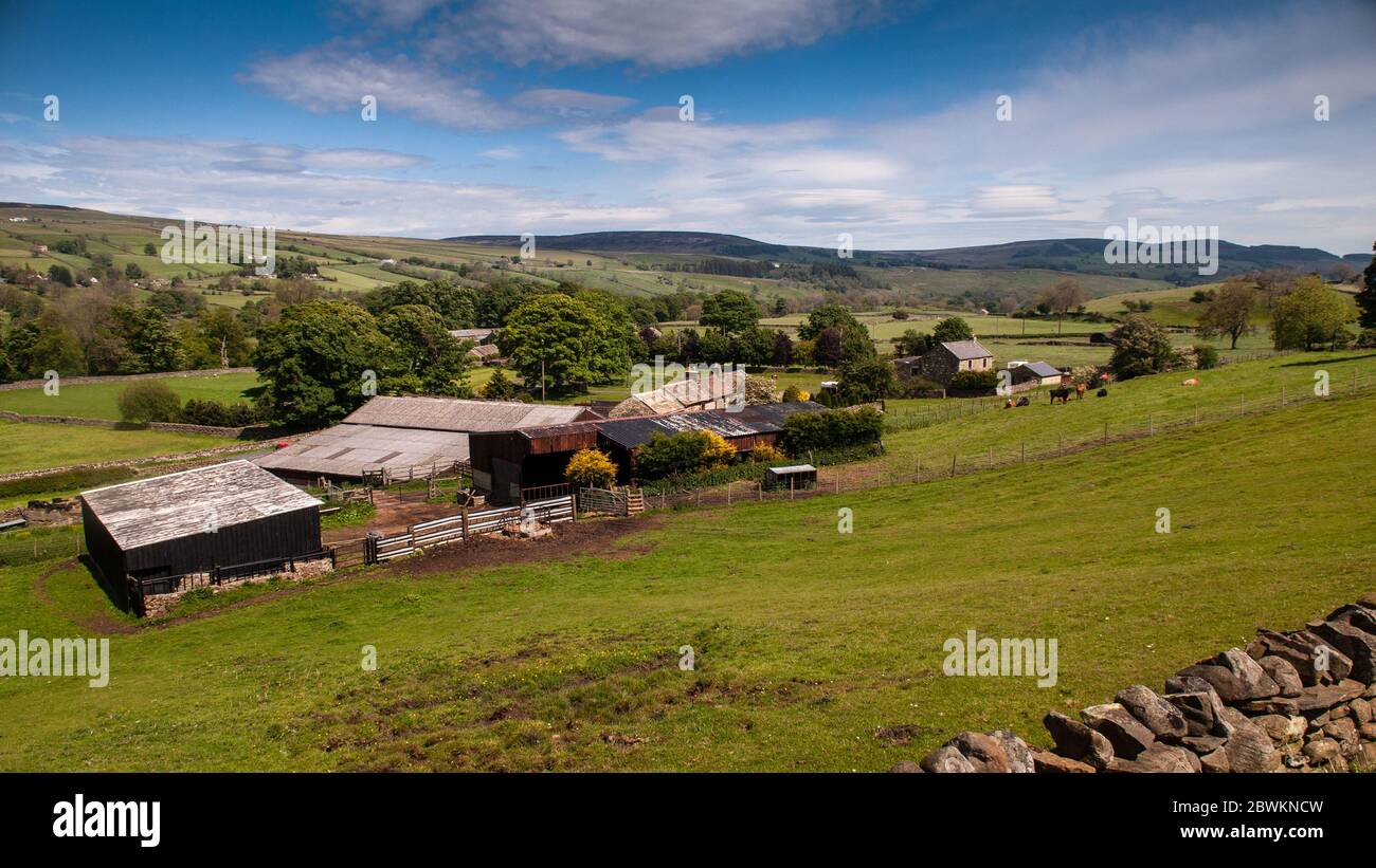 Traditional farm houses and barns are scattered among the fields of ...