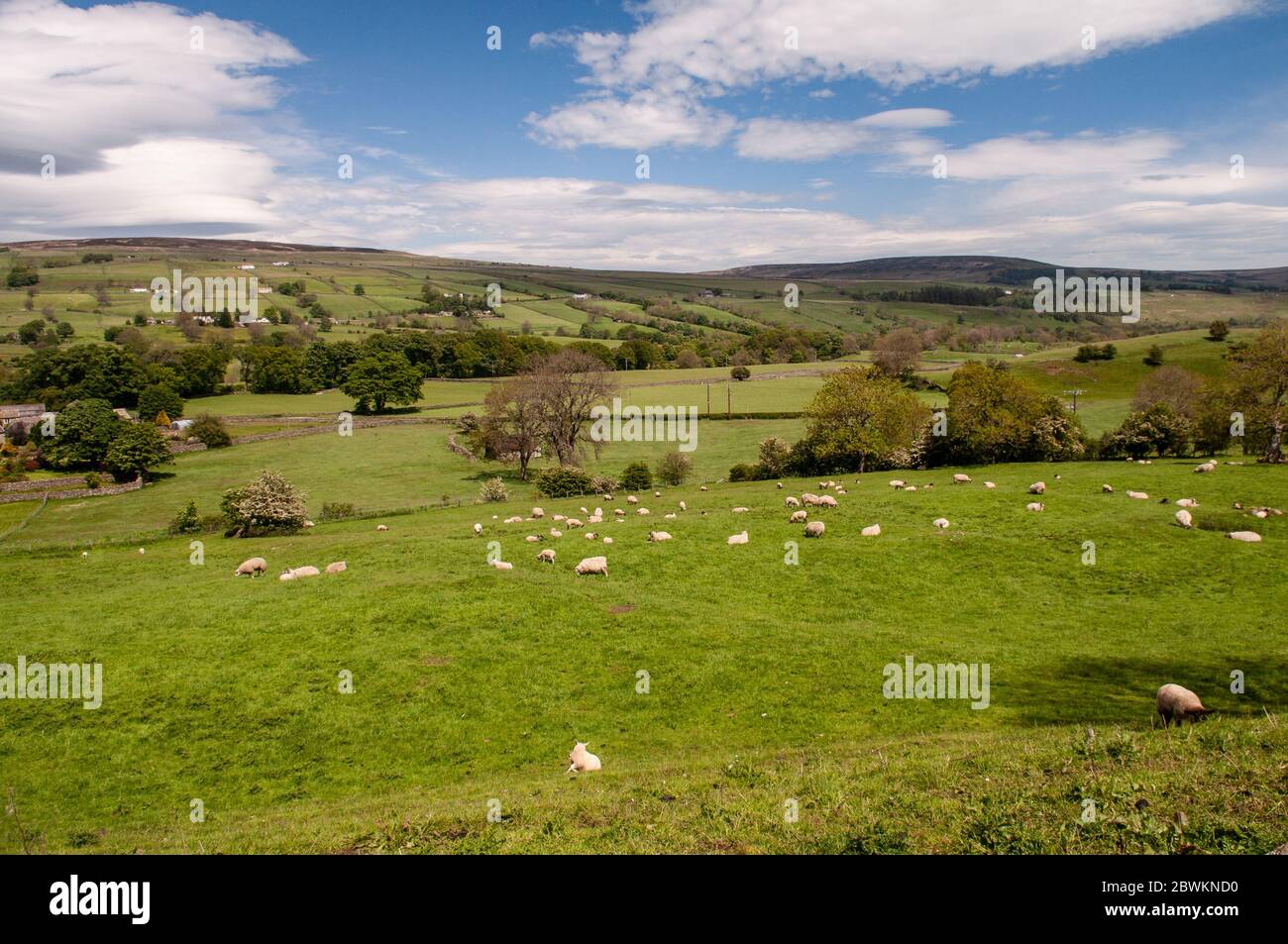 Durham hills hi-res stock photography and images - Alamy