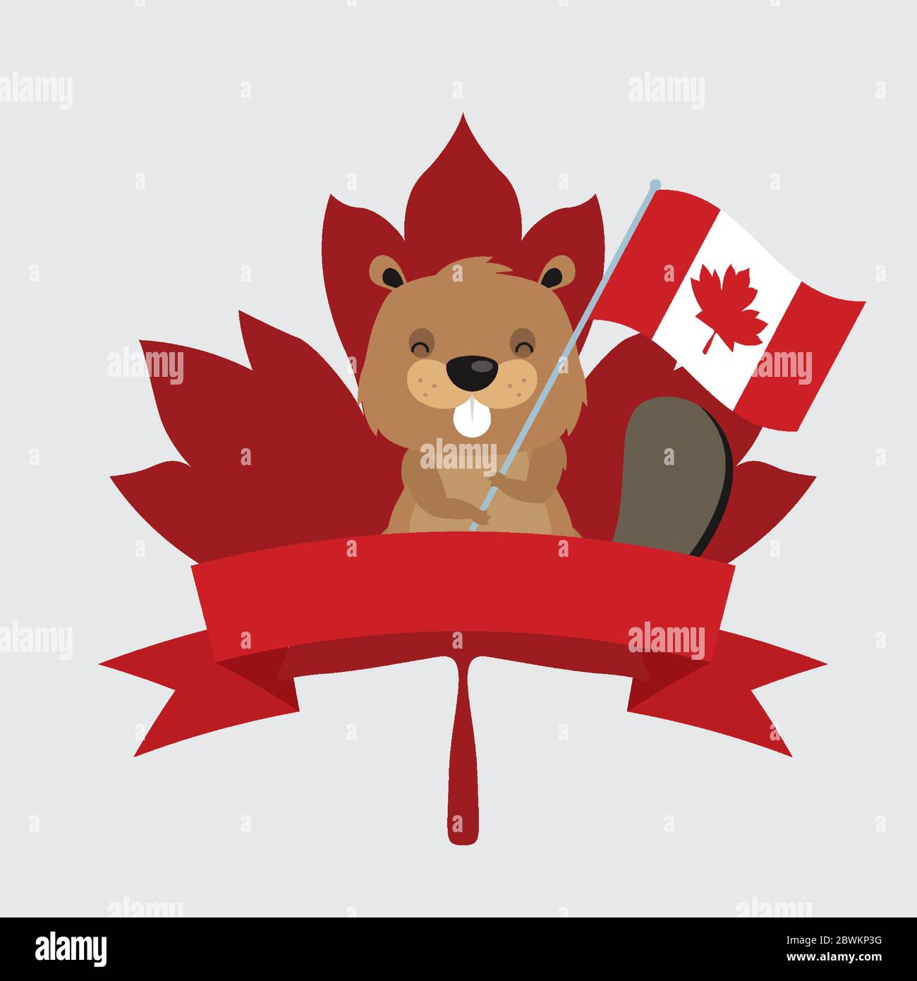 Canadian beaver with flag and ribbon of happy canada day vector design ...