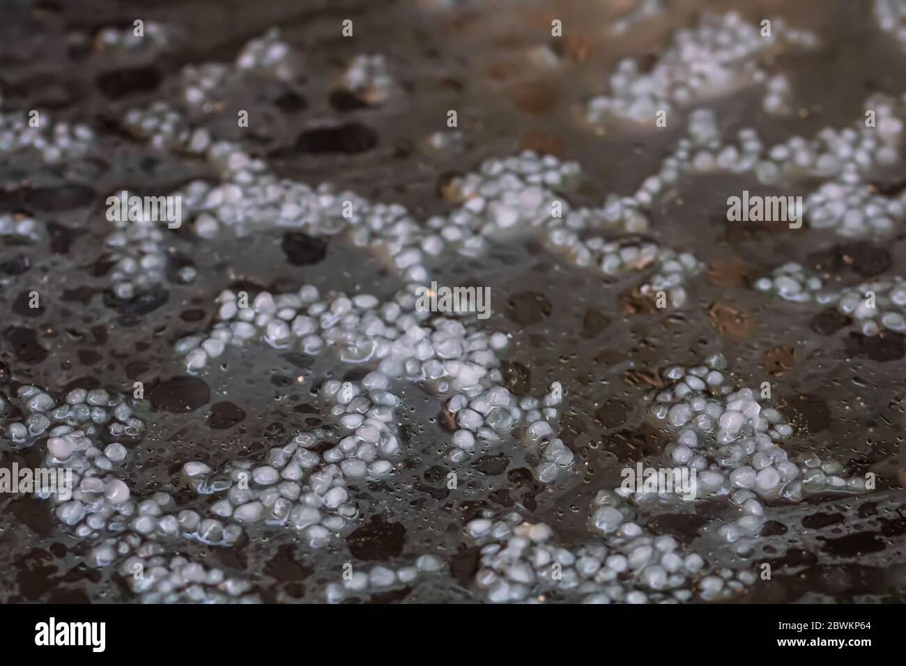 Hail Grains High Resolution Stock Photography and Images - Alamy