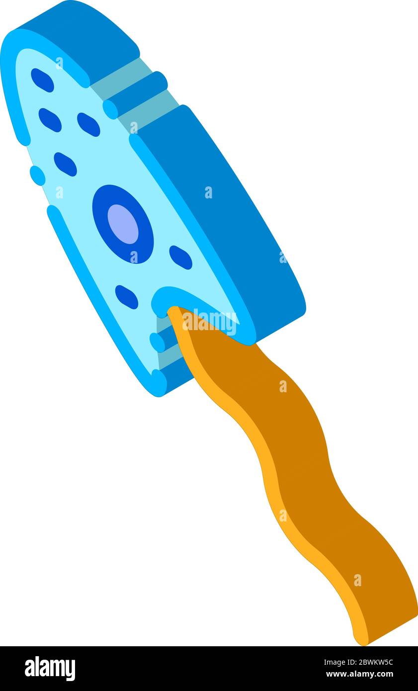 Microscopic Bacteria Germ isometric icon vector illustration Stock ...