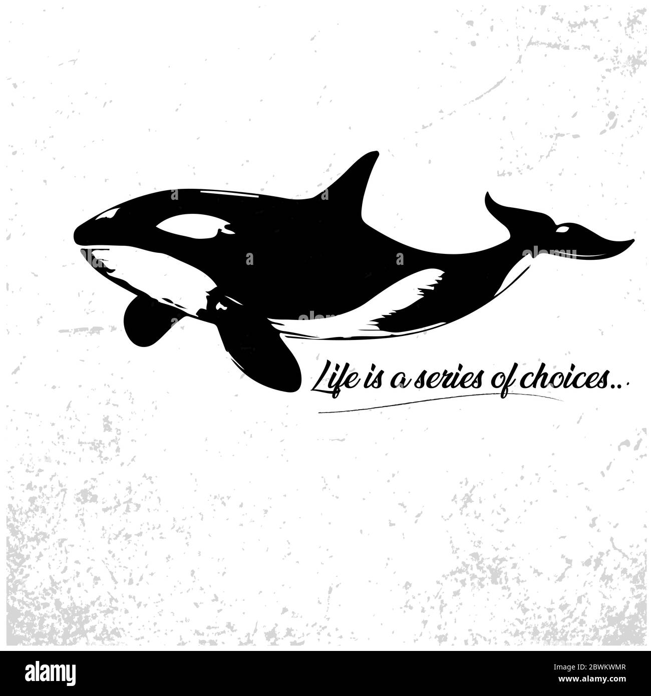 Killer whale illustration in grunge background. Monochrome abstract ...