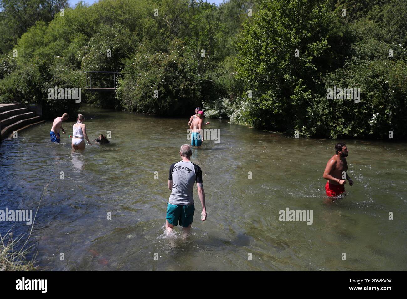 People and a dog in the water at Compton Lock on the River Itchen near ...