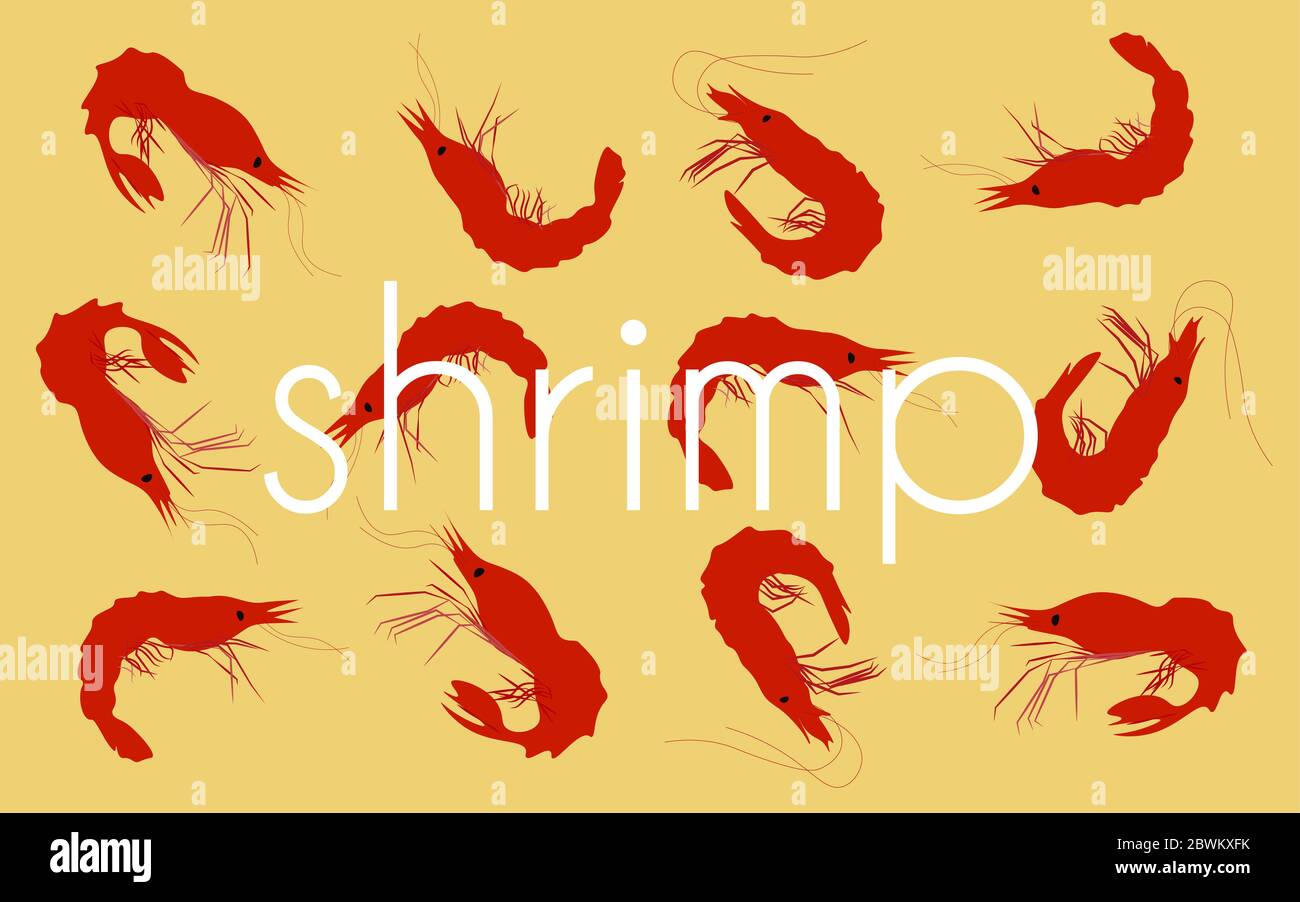Red shrimp on a yellow background. Seafood vector image. Congratulation ...