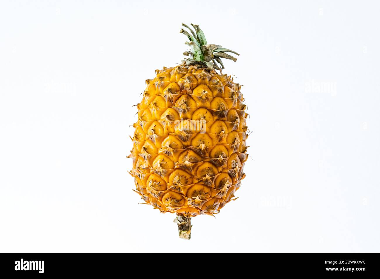 Small Azorean pineapple in white background with copy space Stock Photo ...