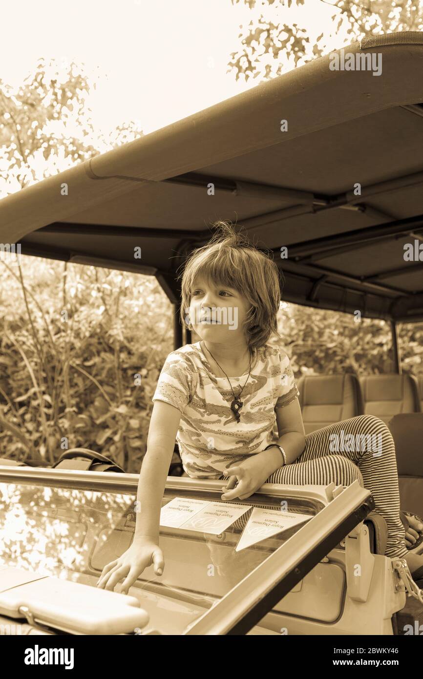 A five year old boy in a safari jeep Stock Photo - Alamy