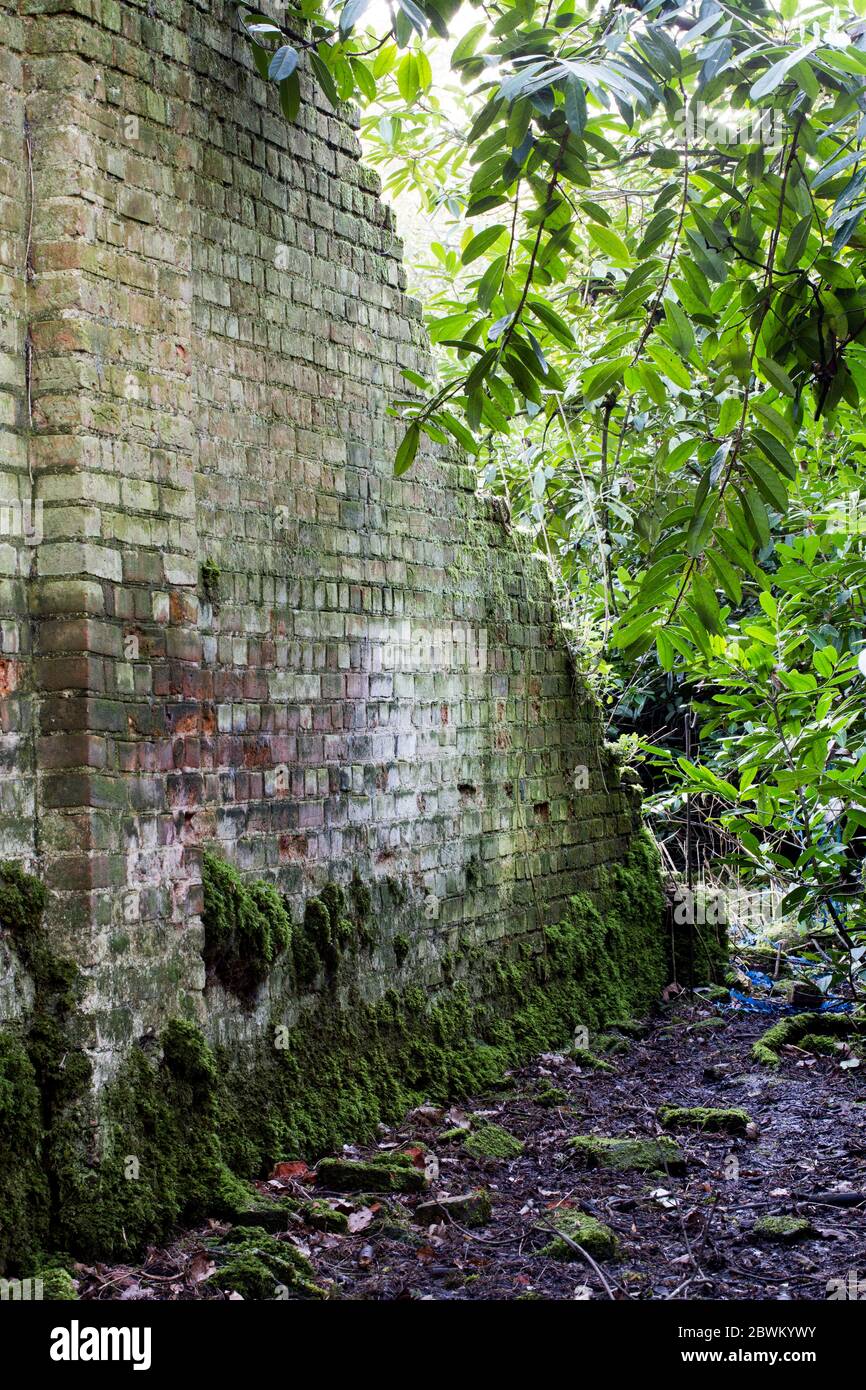 View along old brick wall overgrown with moss Stock Photo - Alamy