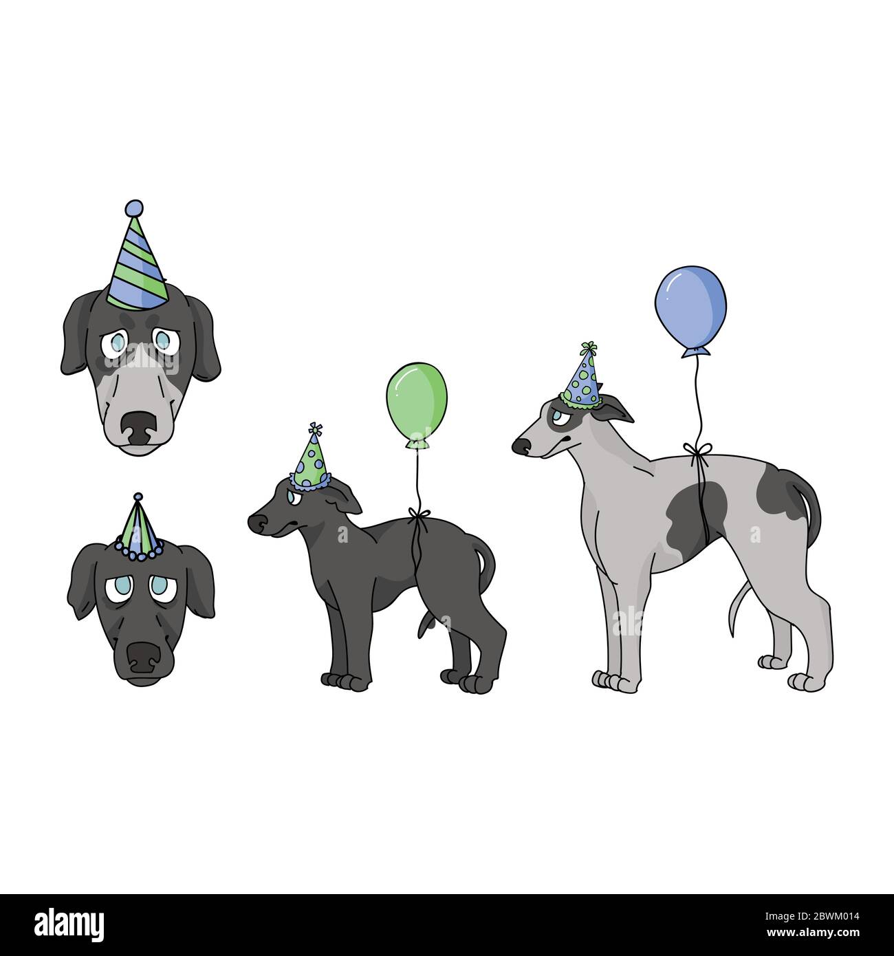 Cute cartoon greyhound dog party set vector clipart. Pedigree kennel ...