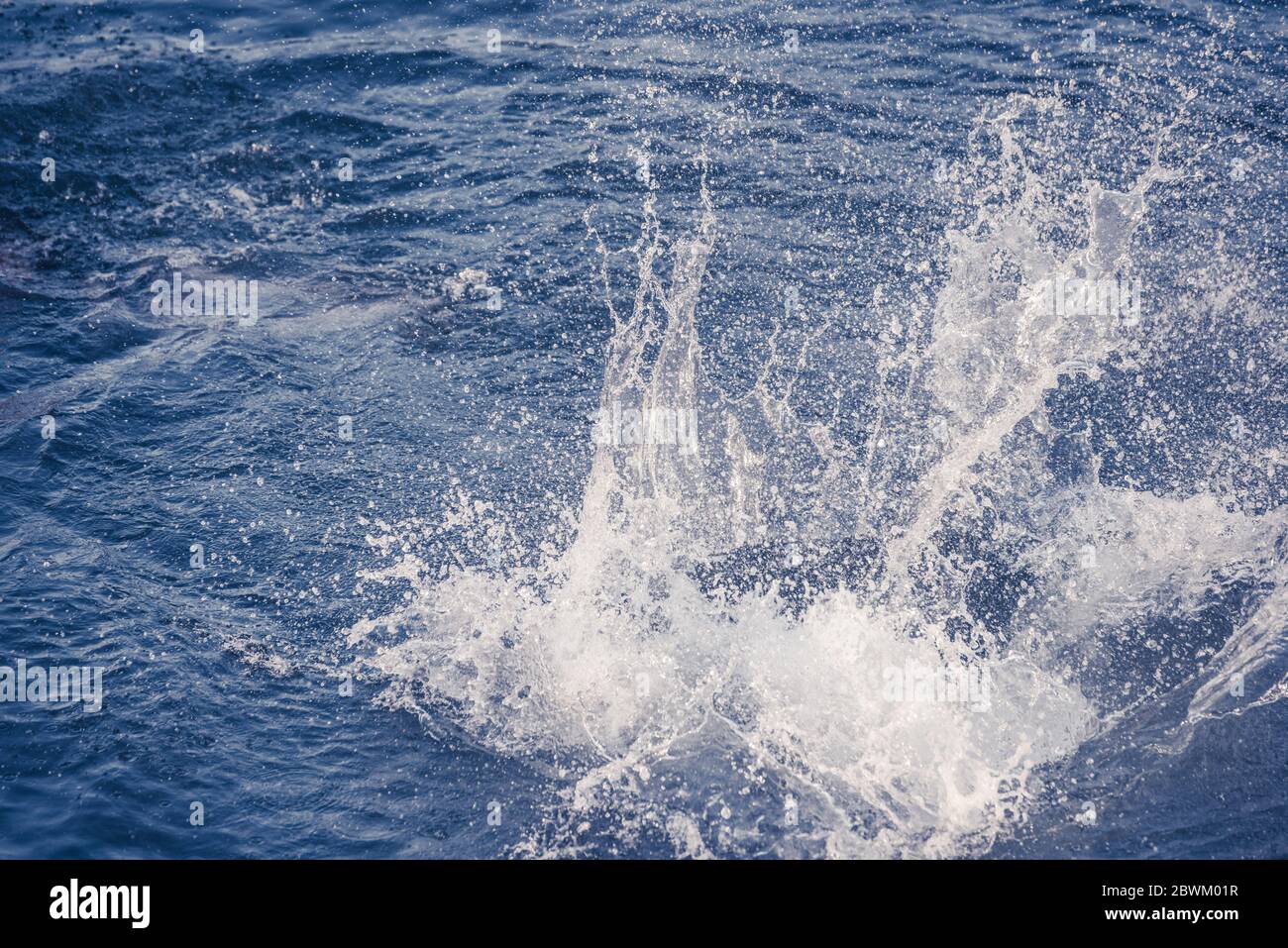 water splash making by person diving into river Stock Photo - Alamy