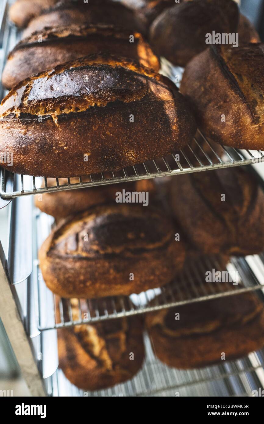 Artisan bakery making special sourdough bread, racks of baked bread ...