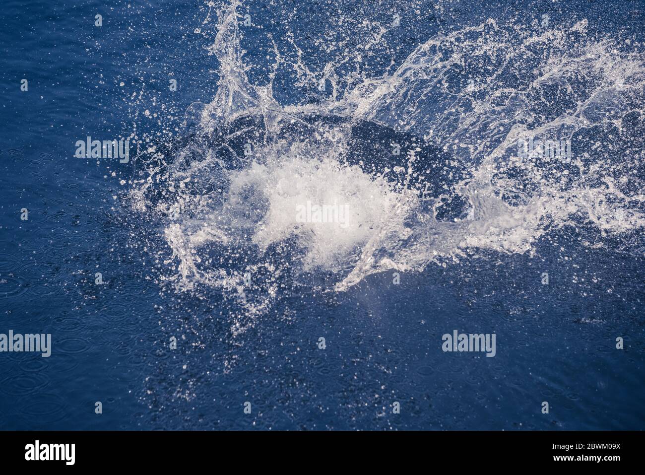 water splash making by person diving into river Stock Photo - Alamy
