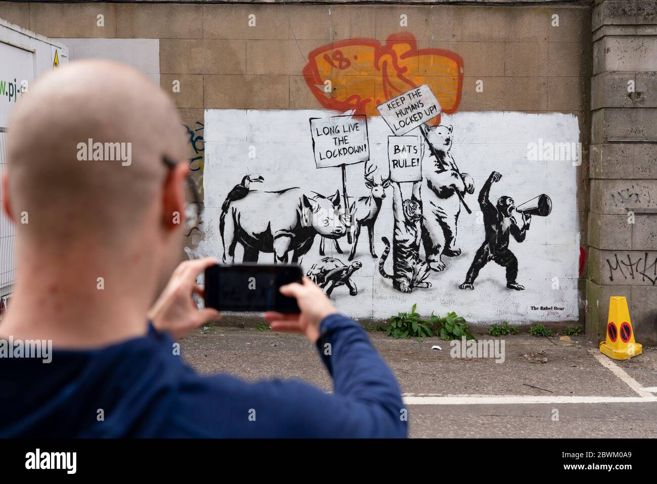 The rebel bear mural hi-res stock photography and images - Alamy