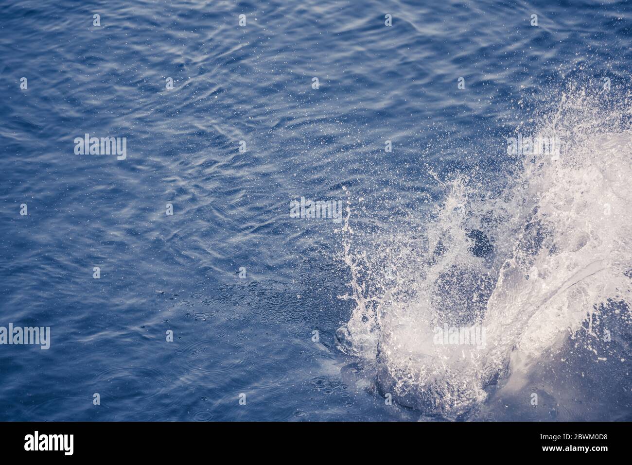 water splash making by person diving into river Stock Photo - Alamy