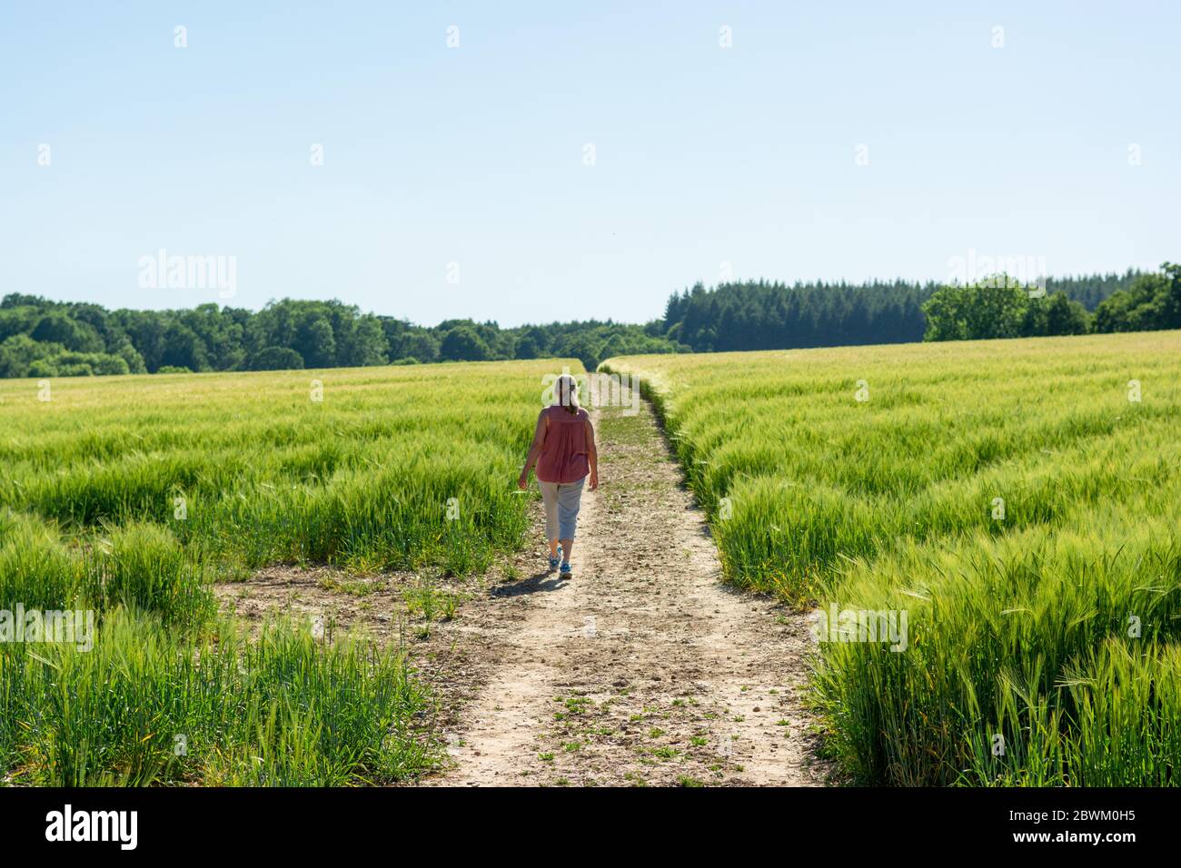 Woman walking field summer hi-res stock photography and images - Alamy