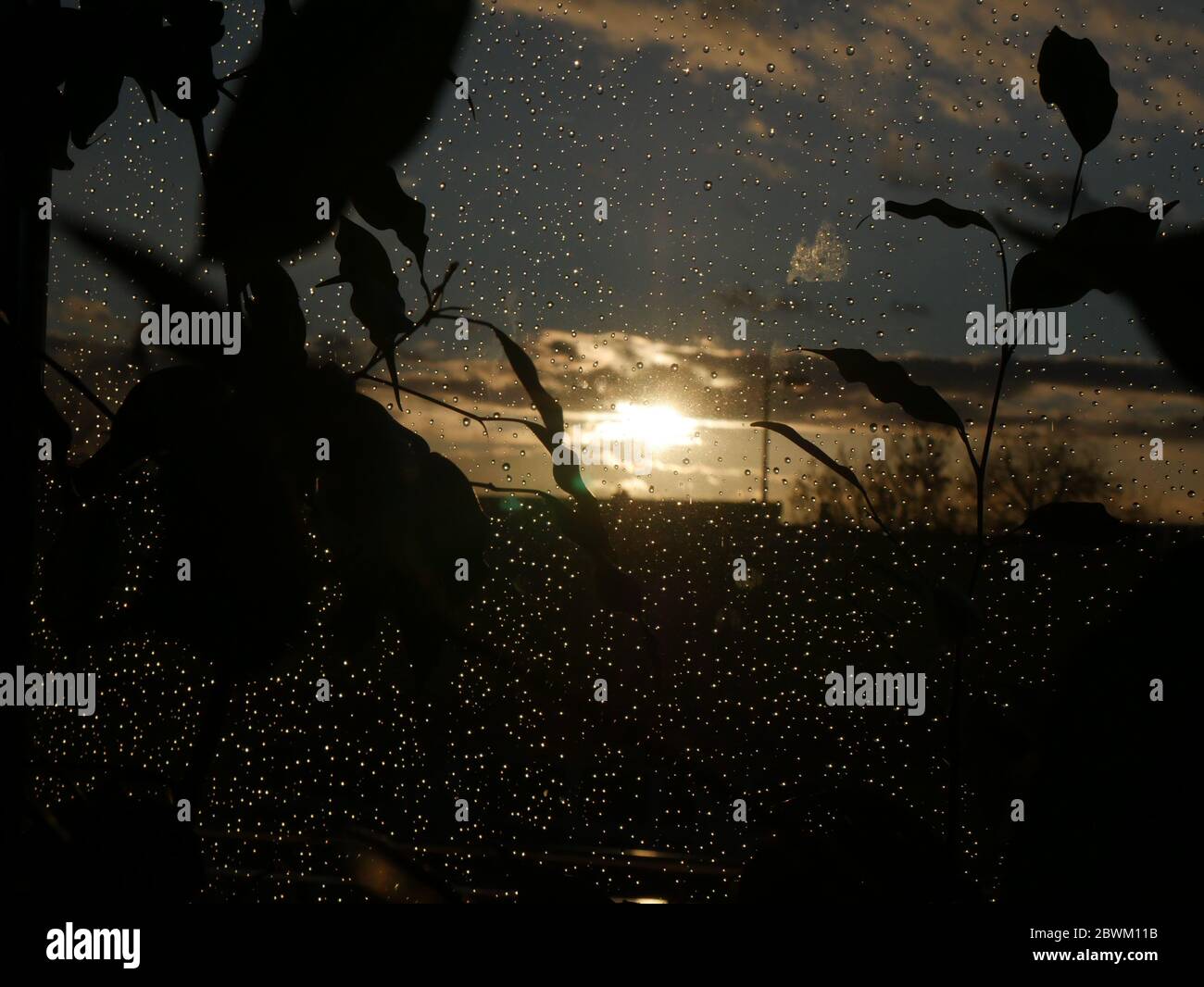Water droplets and a beautiful sunset Stock Photo - Alamy