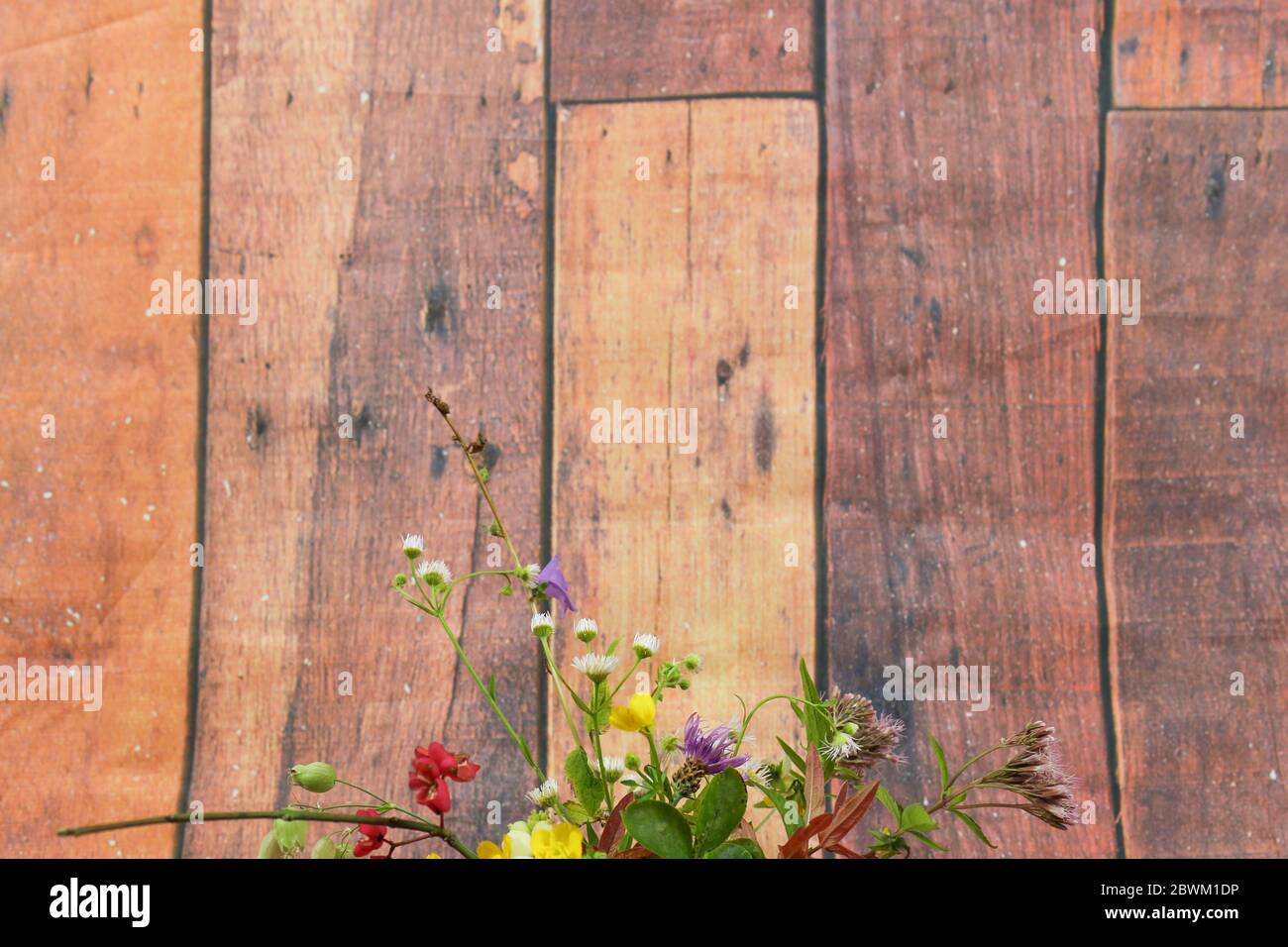 Beautiful autumn flowers scissors hi-res stock photography and images ...