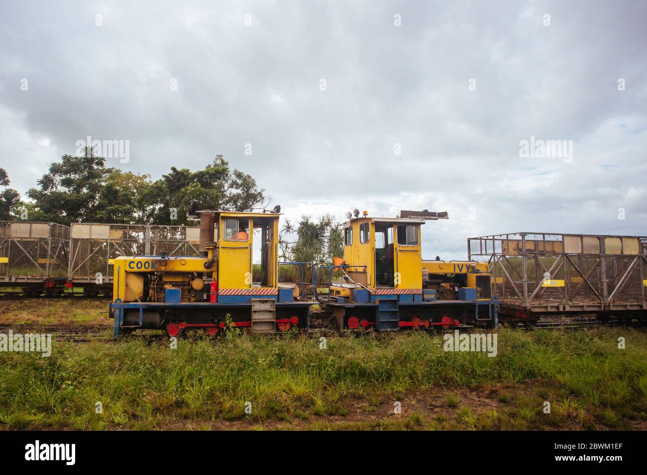 Sugar Cane Train in Queensland Australia Stock Photo - Alamy