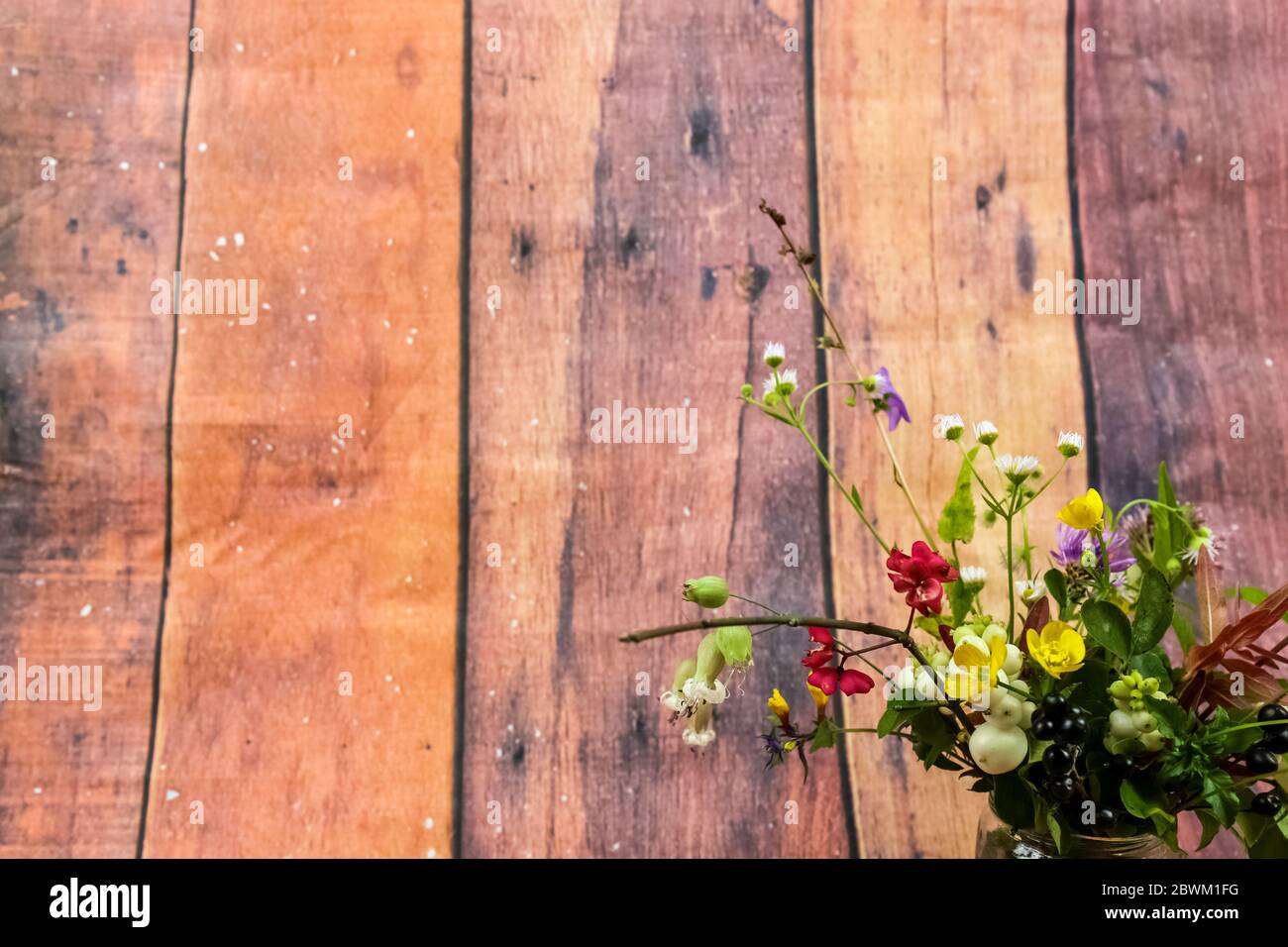 Beautiful autumn flowers scissors hi-res stock photography and images ...