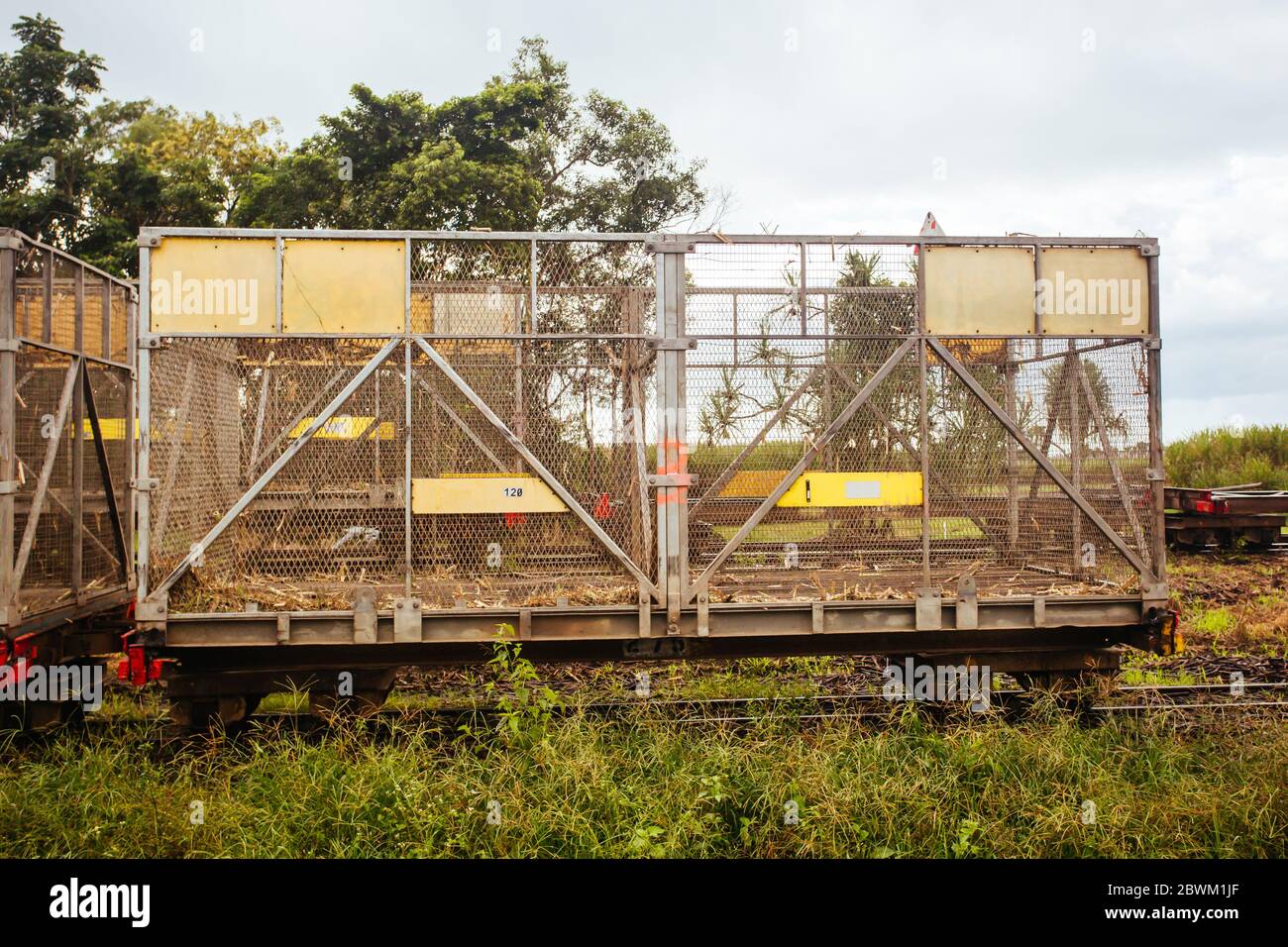 Sugar Cane Train in Queensland Australia Stock Photo - Alamy