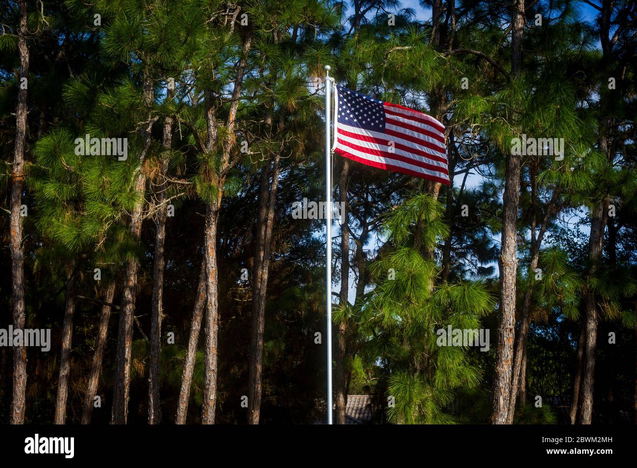 The Stars and Stripes on a flagpole in the Pelican Beach area of Naples ...