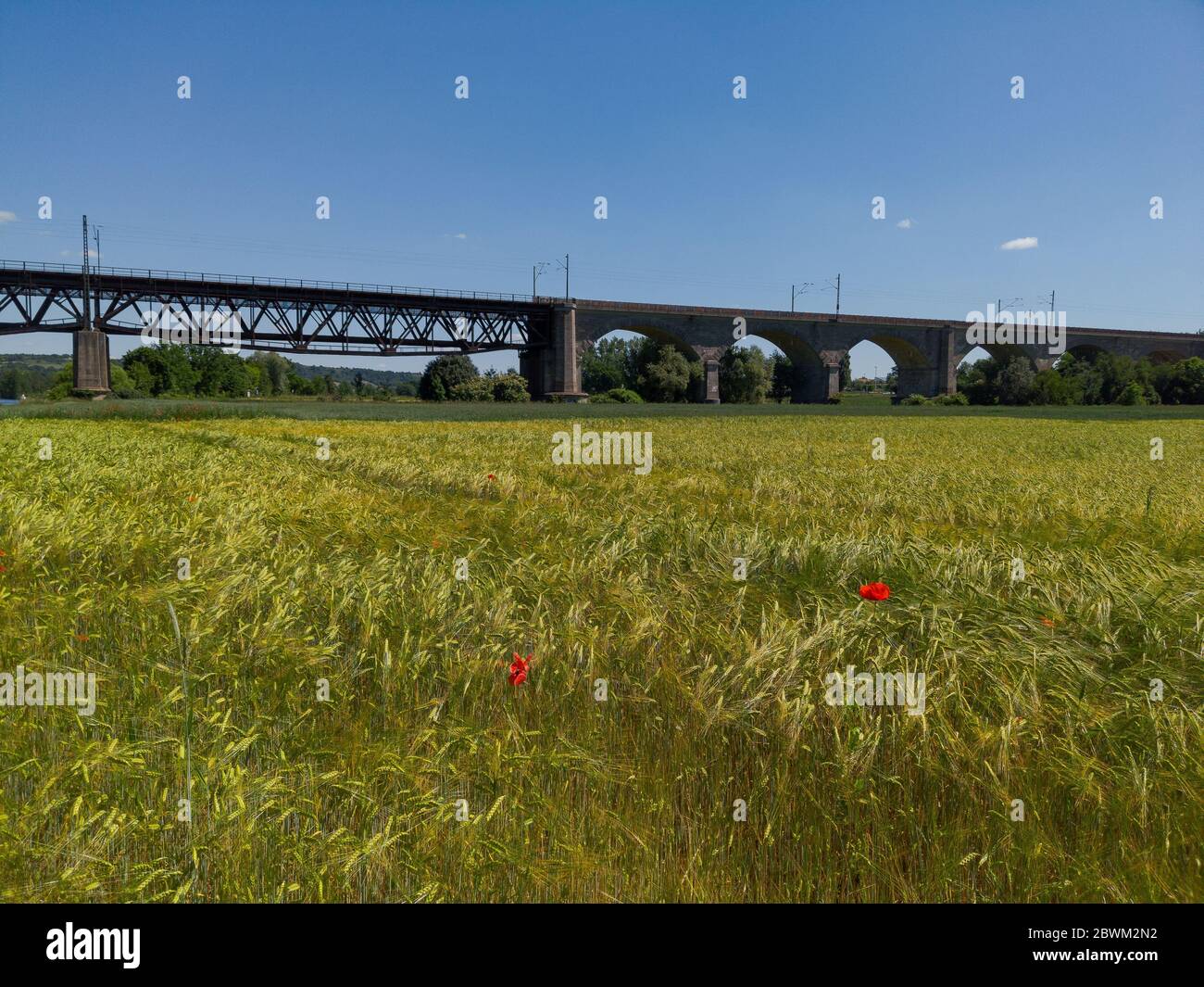 Scenic view of old railway bridge with stone arches and wheat field ...