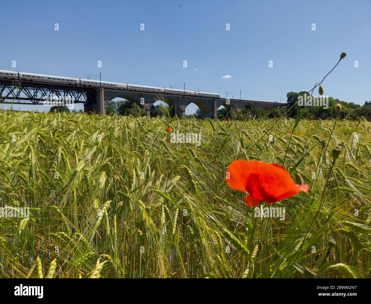 Scenic view of old railway bridge with stone arches and wheat field ...