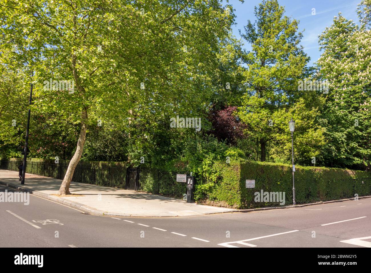 Trees in Ladbroke Square Garden viewed from Ladbroke Grove, Notting ...