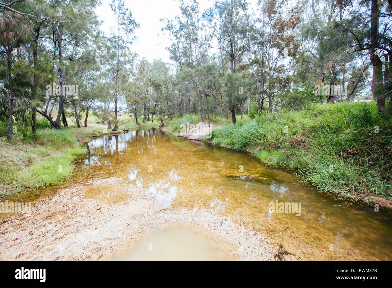 Innot Hot Springs in Australia Stock Photo - Alamy