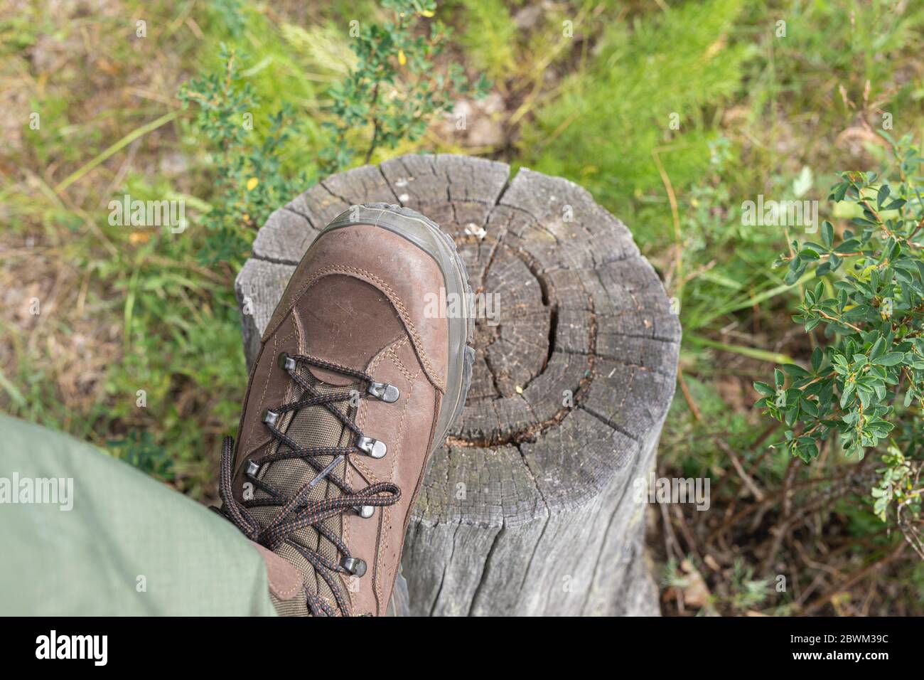 Leg stump hi-res stock photography and images - Alamy