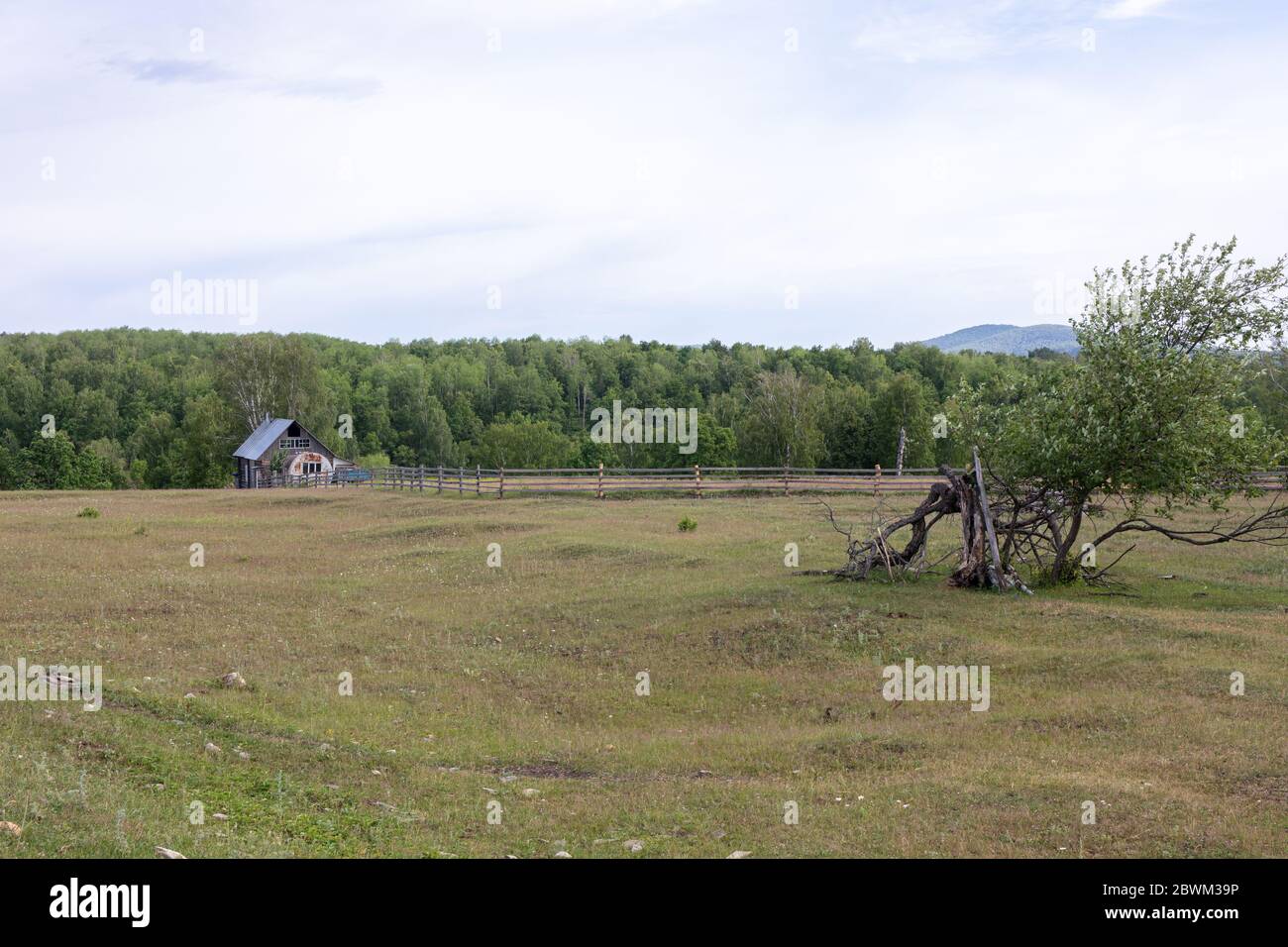 poor old cottage with stable. next to an old broken tree. Farm ...