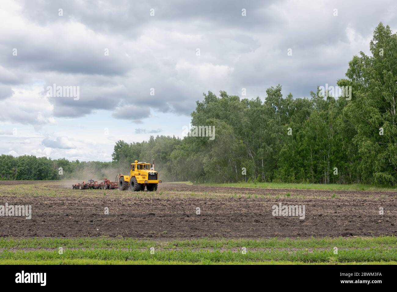 Combine harvester agriculture machine working in field. plows, harrows ...