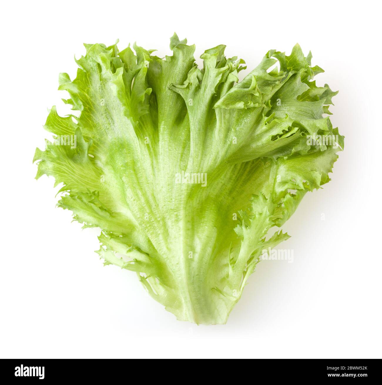 Fresh lettuce leaf isolated on white background Stock Photo - Alamy